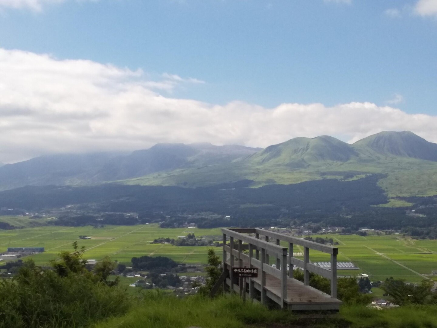 田子山 / みっち3Mさんの田子山の活動データ | YAMAP / ヤマップ