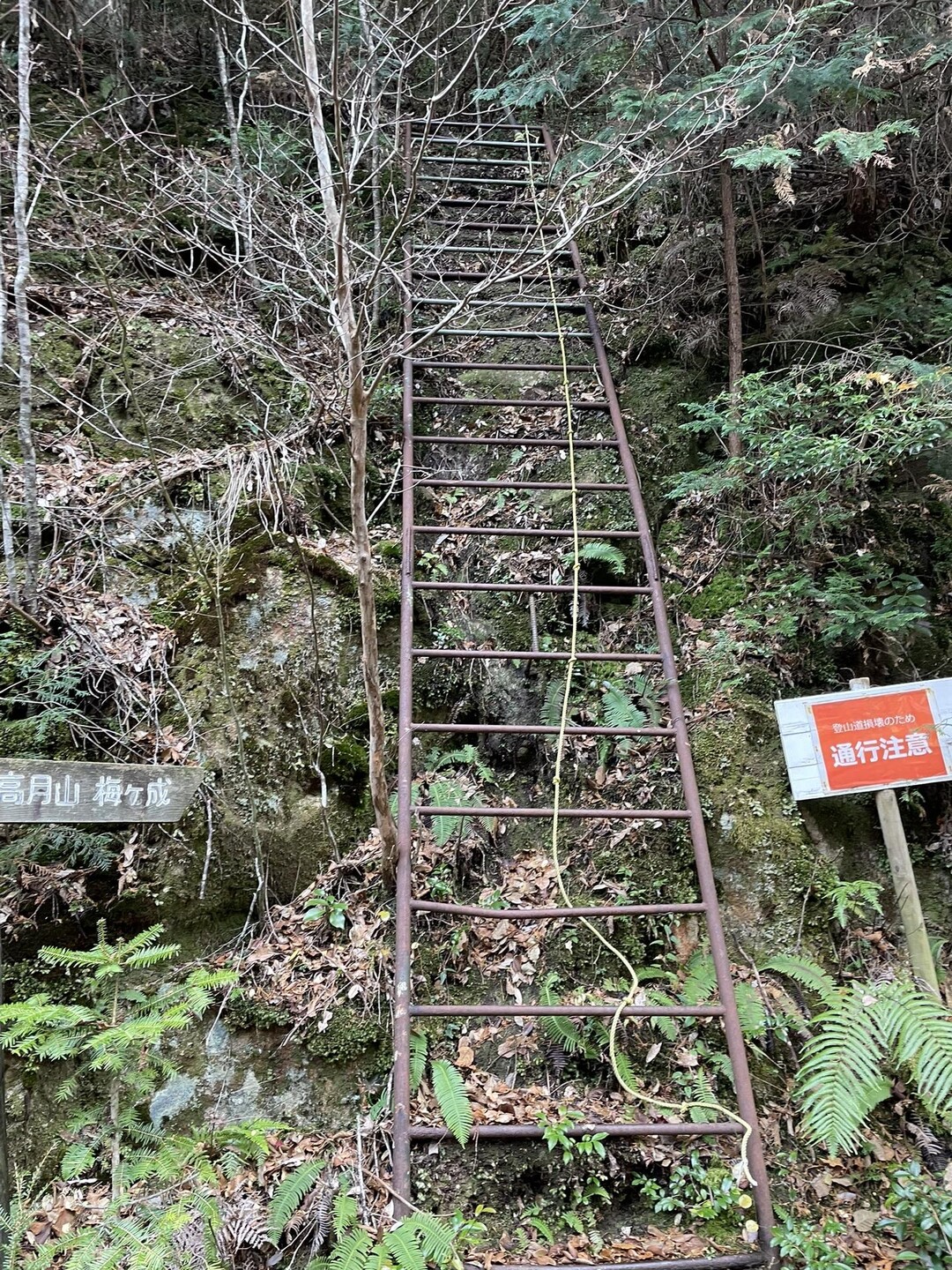 高月山・櫨ヶ森 / sin-naさんの三本杭・鬼ヶ城山・高月山の活動データ | YAMAP / ヤマップ