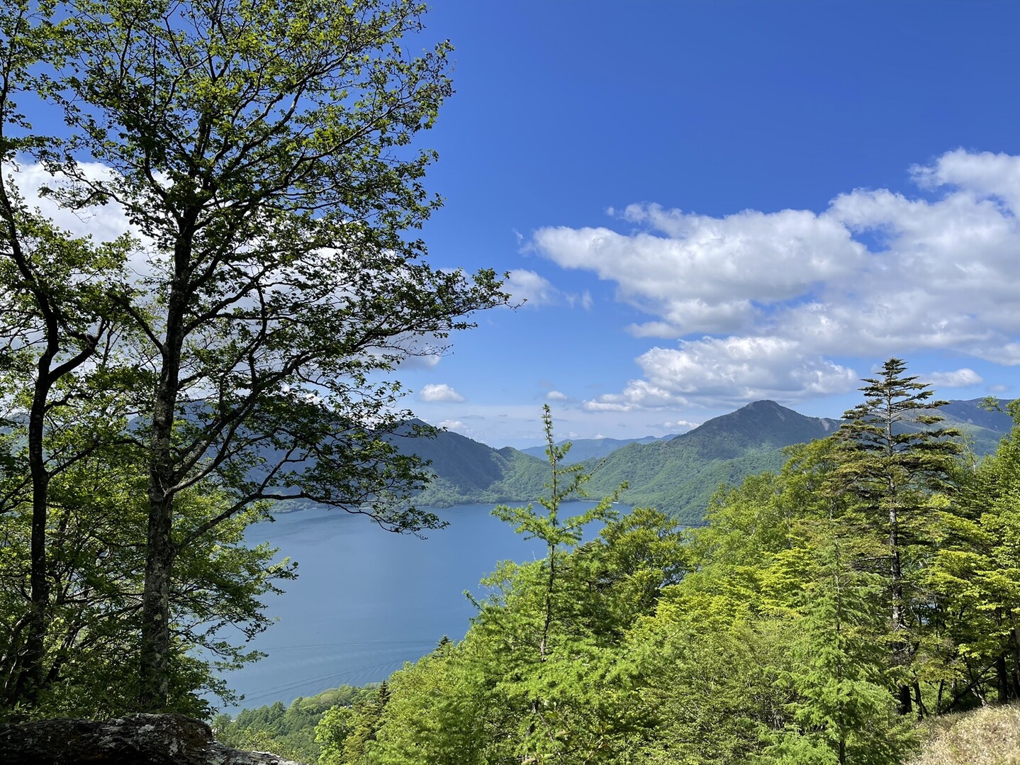 男体山-2022-06-04 / Lily Liuさんの男体山の活動データ | YAMAP / ヤマップ