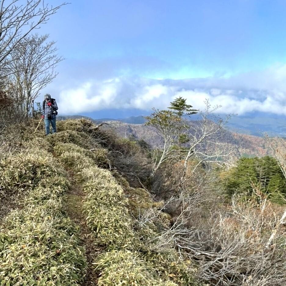 落合峠近辺の山はサブー / ta.hayaさんの矢筈山・黒笠山の活動データ | YAMAP / ヤマップ