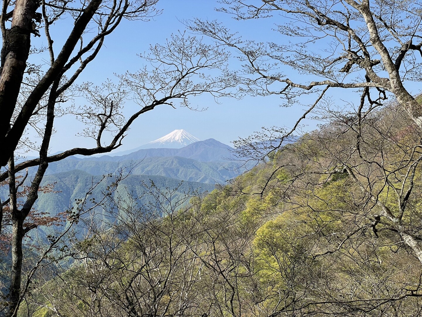七ツ石山・ヨモギノ頭・小雲取山・雲取山 / Hirさんの雲取山・鷹ノ巣山・七ツ石山の活動データ | YAMAP / ヤマップ