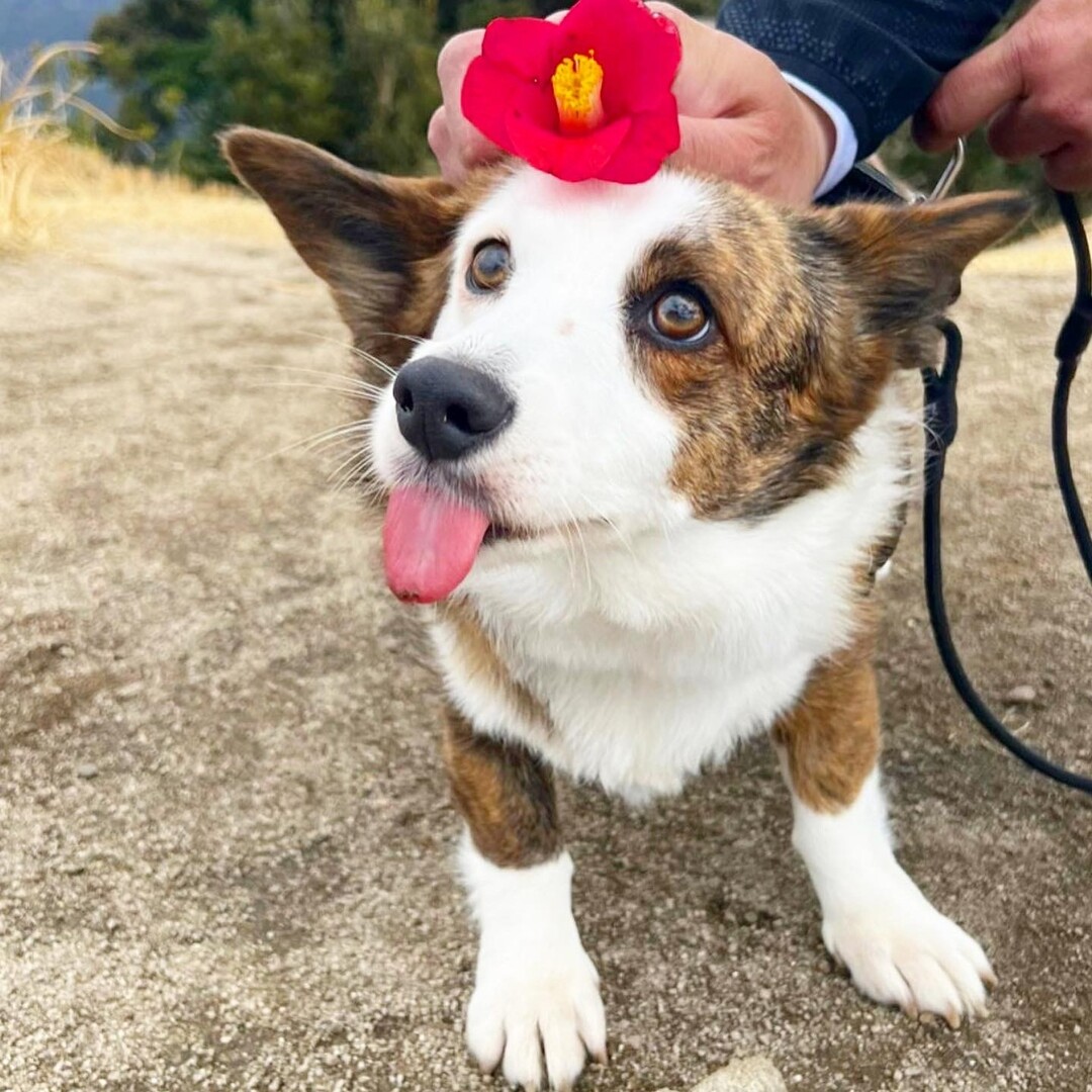 YASUKO 127のページ | YAMAP / ヤマップ