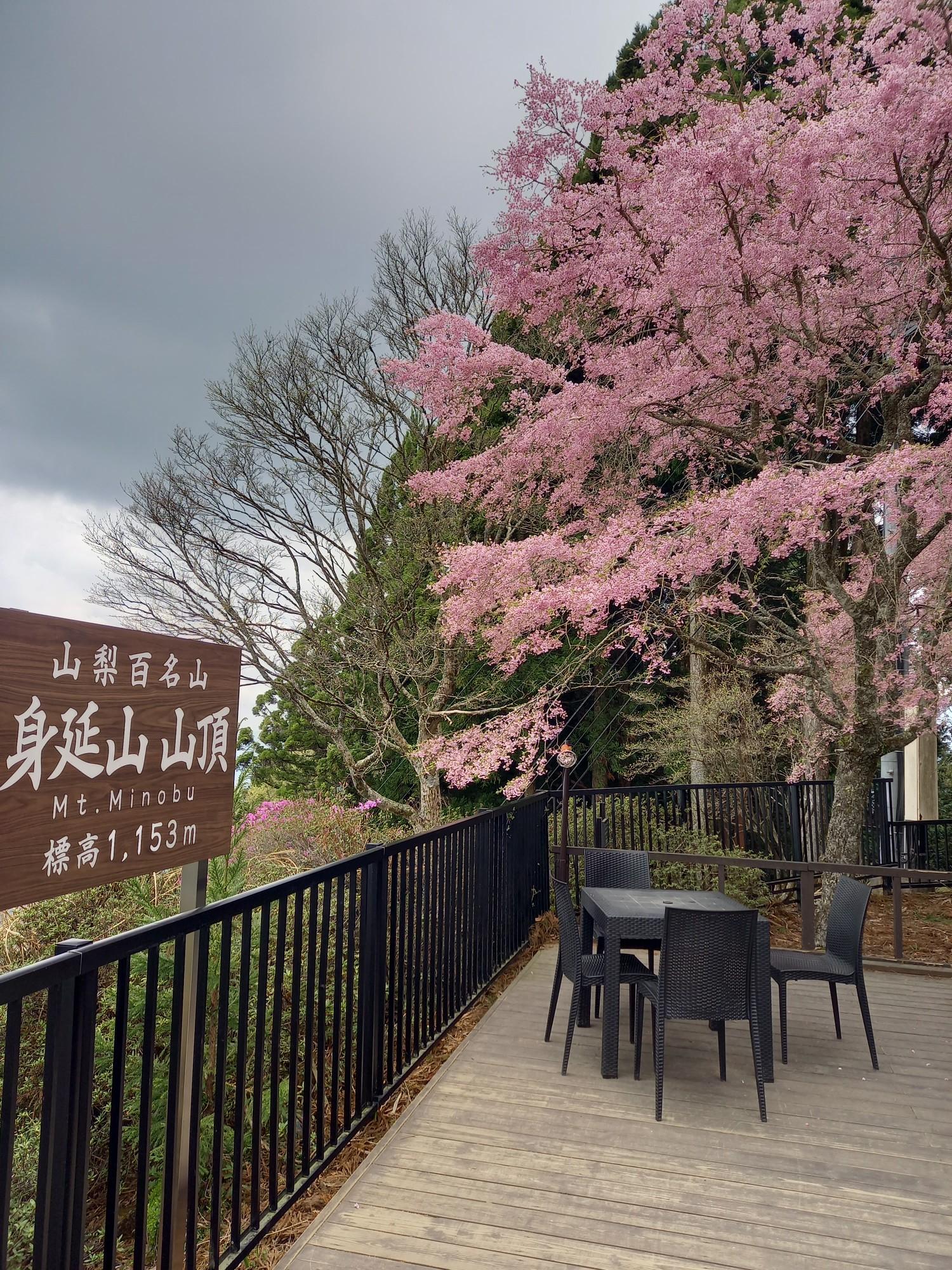 身延山 / Seigoさんの七面山・身延山の活動データ | YAMAP / ヤマップ