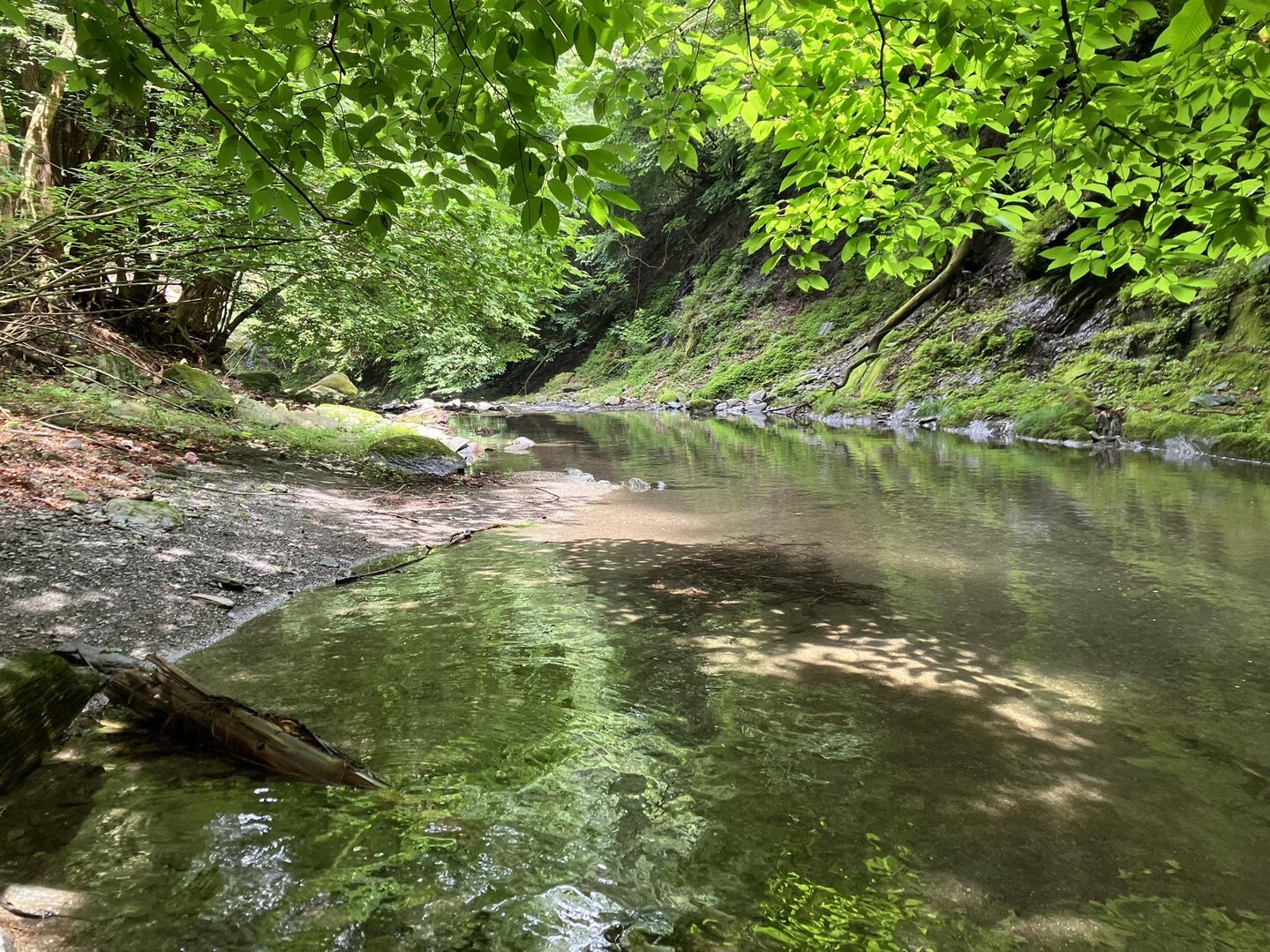 川遊び🏞️キャンプ⛺️ / shine🏔さんのモーメント | YAMAP / ヤマップ