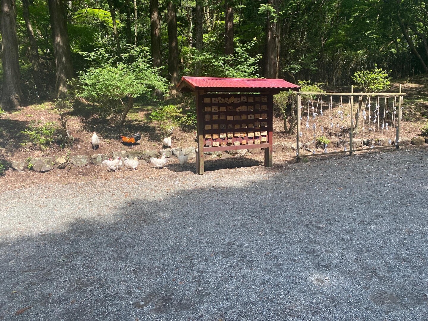 KMさんの投稿したフィールドメモ | YAMAP / ヤマップ