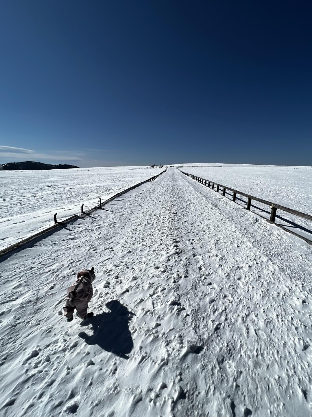 2023.03.01(水) 12:41 / Bii&Guunさんのモーメント | YAMAP / ヤマップ