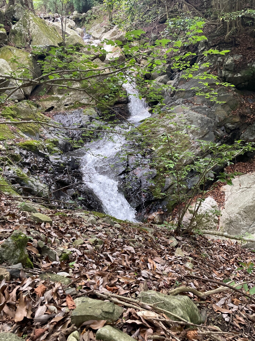 Marry🐾さんの投稿したフィールドメモ | YAMAP / ヤマップ