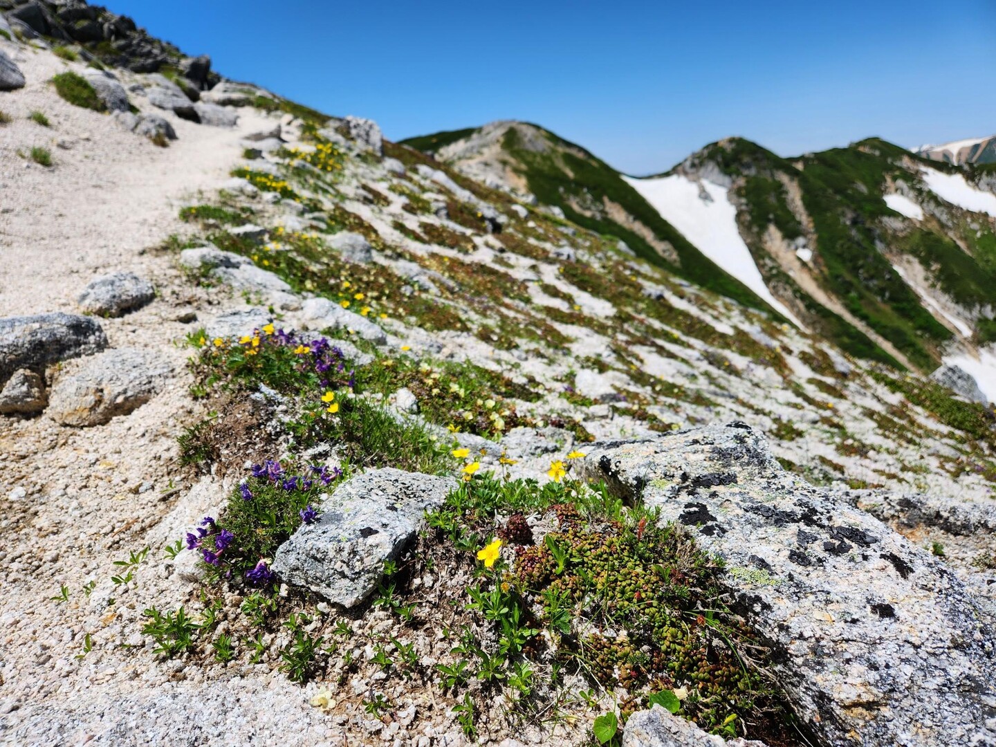 前烏帽子岳・烏帽子岳・野口五郎岳 / ORIさんの野口五郎岳・真砂岳・湯俣岳の活動日記 | YAMAP / ヤマップ