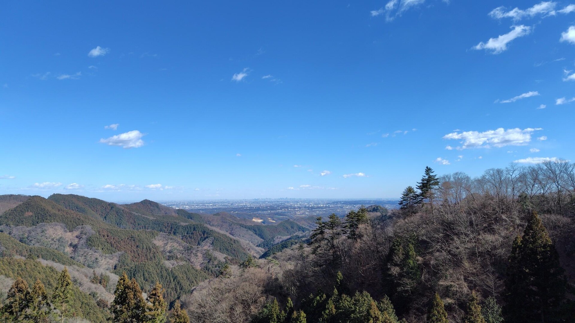 ハセツネ30K試走（ゴロバチ林道カット） / kazu さんの大岳山・御岳山・御前山の活動データ | YAMAP / ヤマップ