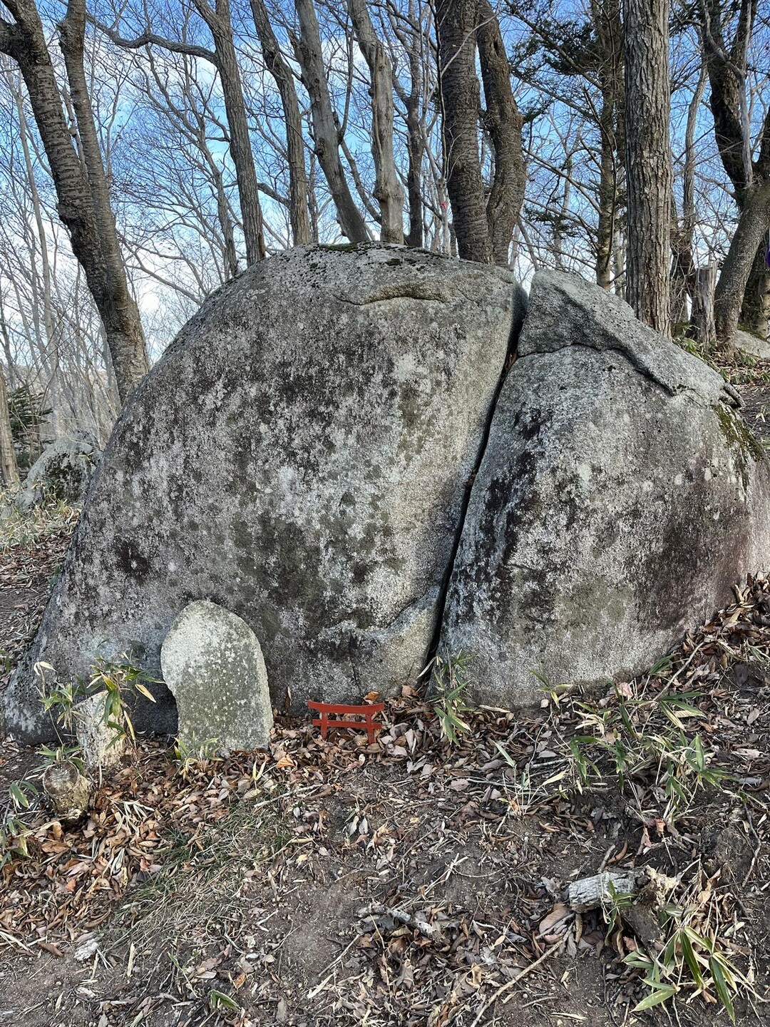 往生山〜おかわりは鬼ヶ城山👹 / haruruさんの湯ノ岳・天狗山・三大明神山の活動データ | YAMAP / ヤマップ