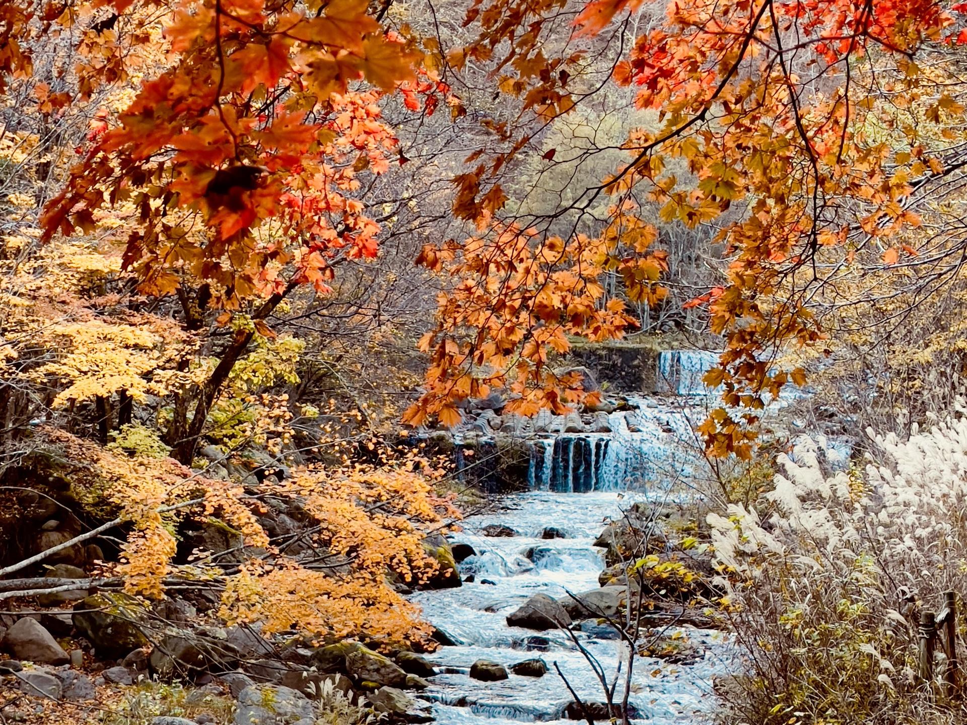 Kinunuma / nDさんの鬼怒沼山・物見山・黒岩山の活動データ | YAMAP / ヤマップ