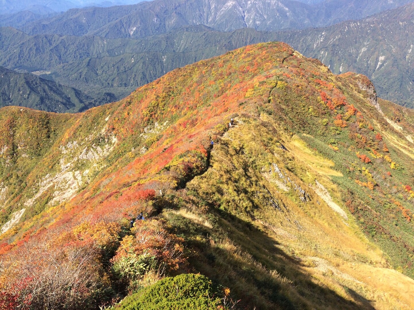 錦秋盛りの祝瓶山（小国側から） / やっさんさんの大朝日岳・朝日連峰・祝瓶山の活動データ | YAMAP / ヤマップ