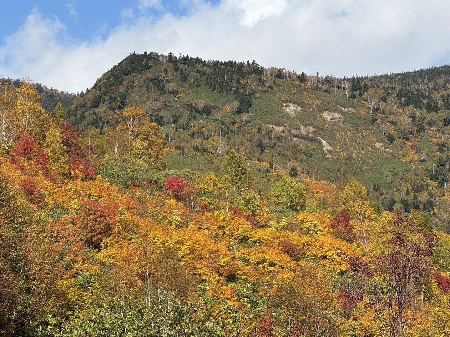 紅葉がきれいだった八幡平 / al (アル)さんの八幡平・源太森・安比岳の活動データ | YAMAP / ヤマップ