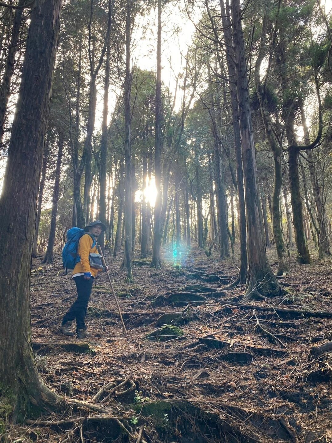子岳・鞍岳（女岳）・鞍岳（男岳）・ツームシ山 / G-Threeさんのツームシ山・鞍岳の活動データ | YAMAP / ヤマップ