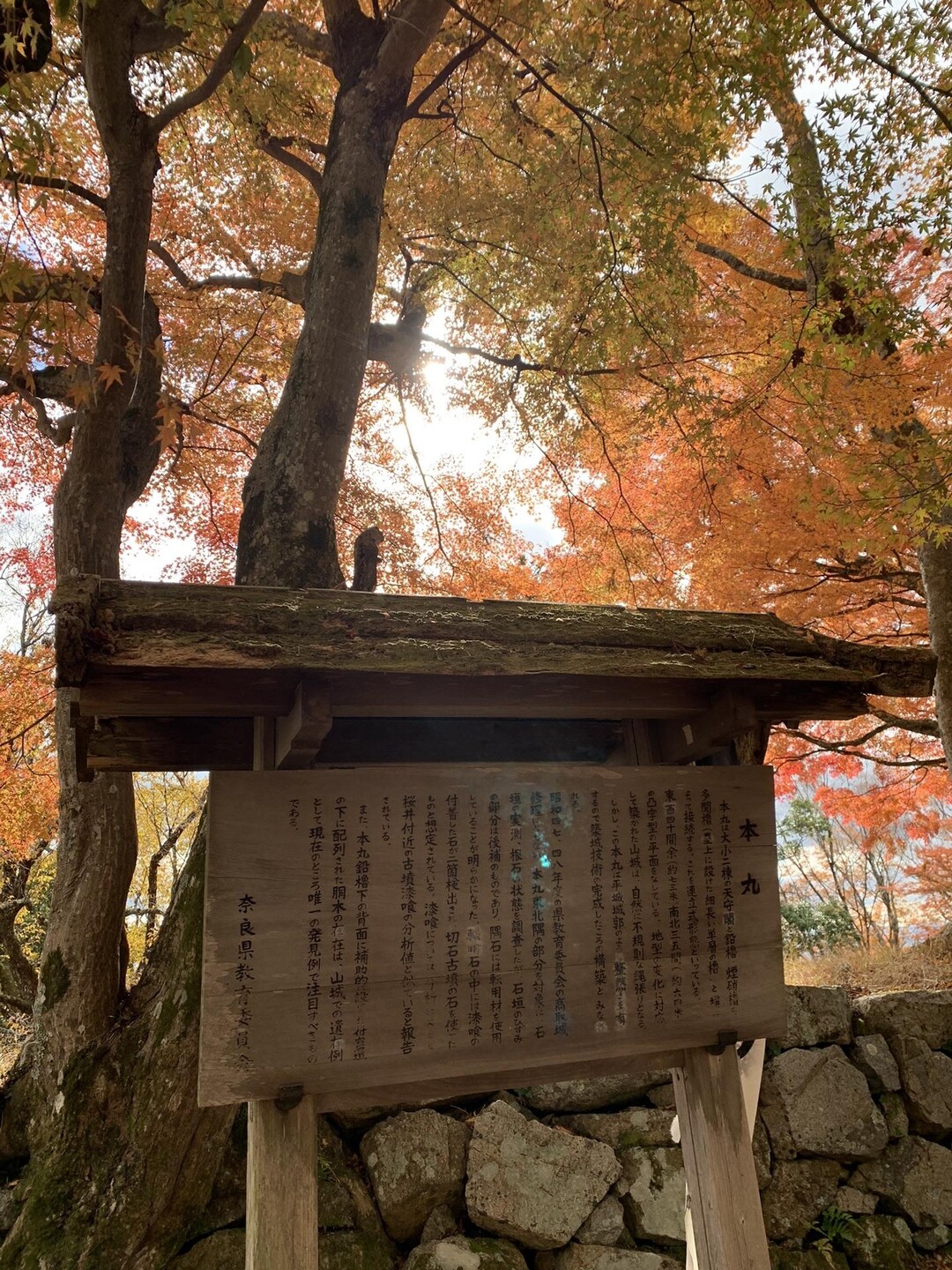 高取山 / kapiさんの高取山の活動データ | YAMAP / ヤマップ