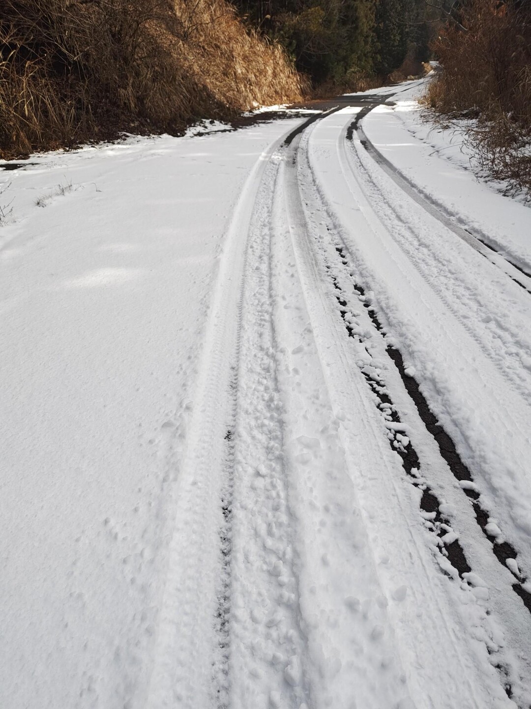 鈴鹿300座6座GET🎶 「丸山」「熊倉」「横尾山」「上の畑」「恋南」「一の倉」 / やいちんエリザベスさんの綿向山の活動データ | YAMAP / ヤマップ