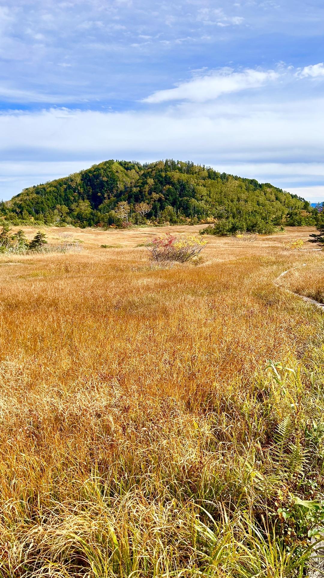 風吹大池・風吹岳 / ブロッコリー🥦さんの雪倉岳・朝日岳・風吹岳の活動データ | YAMAP / ヤマップ