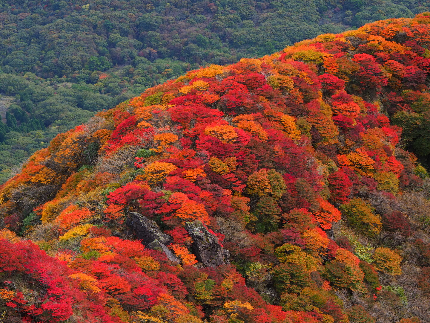 2019.10.20 三俣山5峰 紅葉お鉢巡り / JUN.Aさんの登山の活動データ | YAMAP / ヤマップ