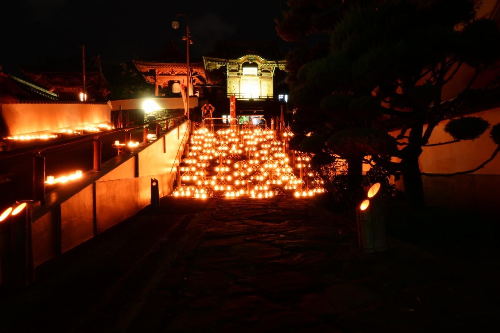 令和6年11月2日 第28回 うすき竹宵... / K3さんのモーメント | YAMAP / ヤマップ