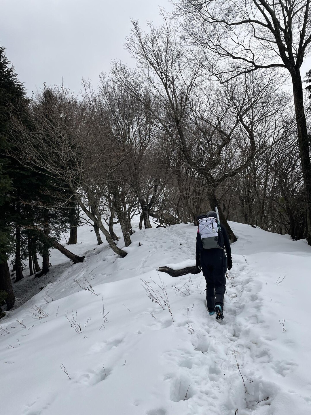 高室山 20250103 / snowyさんの高室山の活動データ | YAMAP / ヤマップ