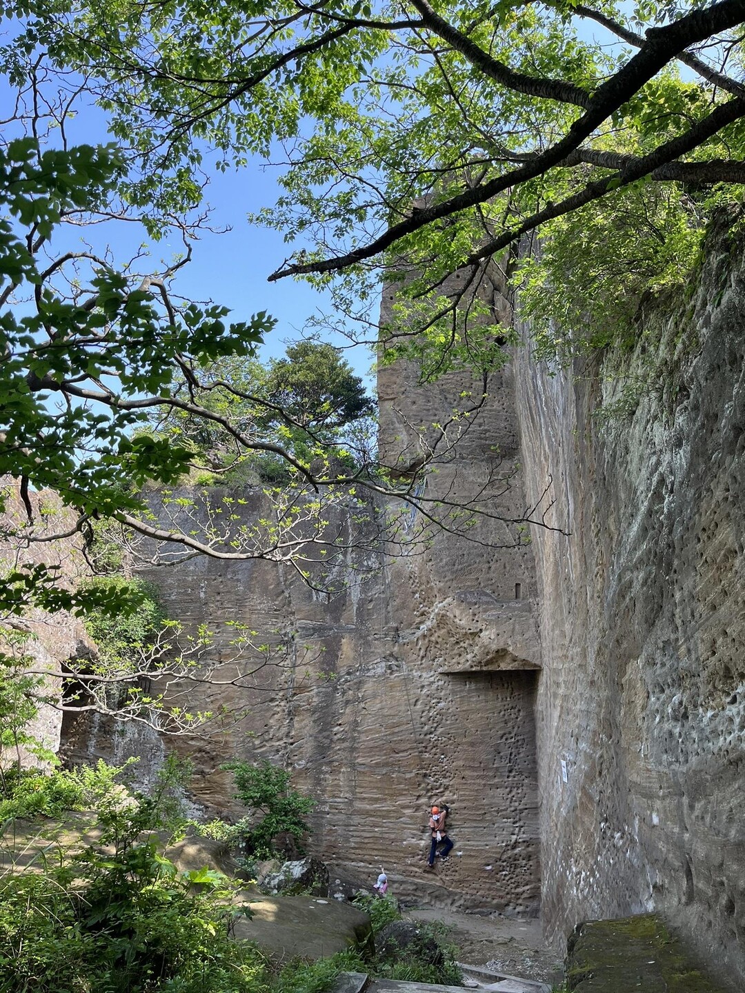 神武寺山・鷹取山へ🐾 / hachacha-umemeさんの鷹取山の活動データ | YAMAP / ヤマップ