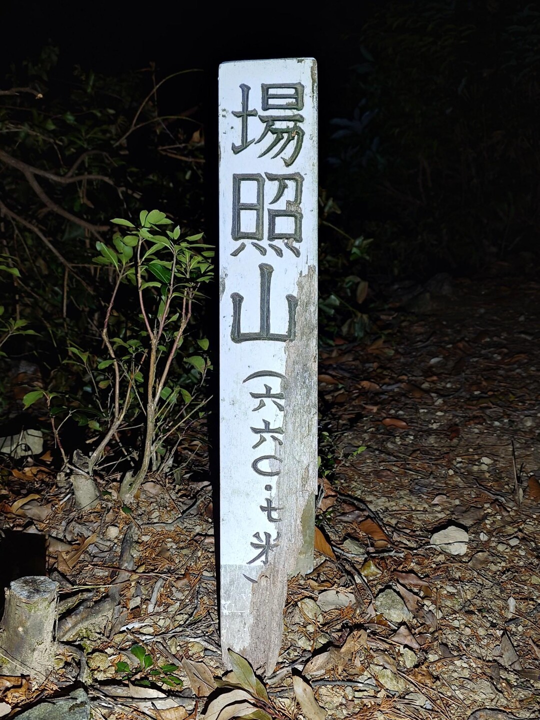 登山道よりも林道運転で精神的にバテる(ベタですが😅)場照山。 / 玲央奈さんの場照山の活動データ | YAMAP / ヤマップ