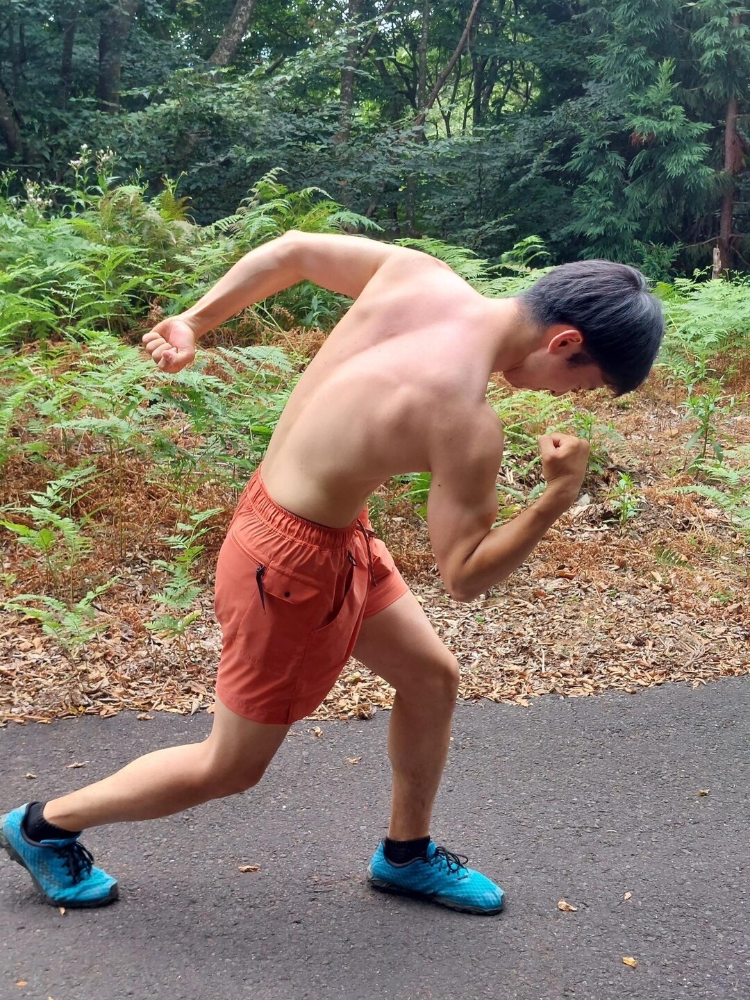 I'll be back / シンさんの青葉山の活動データ | YAMAP / ヤマップ