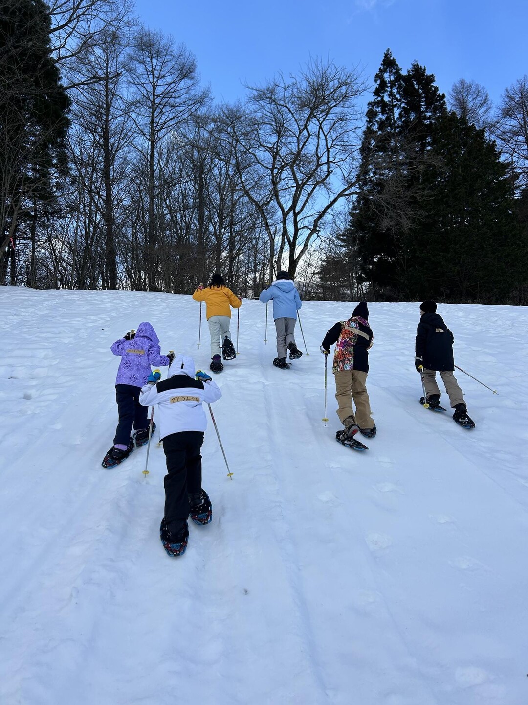 宮城県蔵王自然の家登山支援ボランティア / carolさんの蔵王山・雁戸山・不忘山の活動データ | YAMAP / ヤマップ
