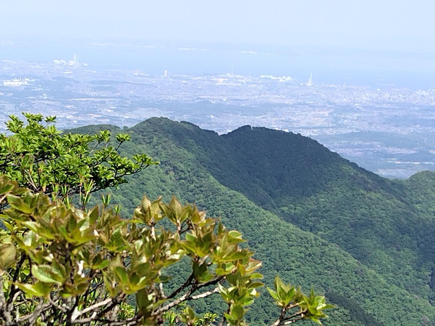 雲母峰Ⅱ峰・雲母峰・雲母西峰・P791・鎌ヶ岳 雲母尾根縦走 気持ちいい夏山や〜 😍🏖️🌳 / トモサンさんの入道ヶ岳・鎌ヶ岳・仙ヶ岳の活動データ | YAMAP / ヤマップ