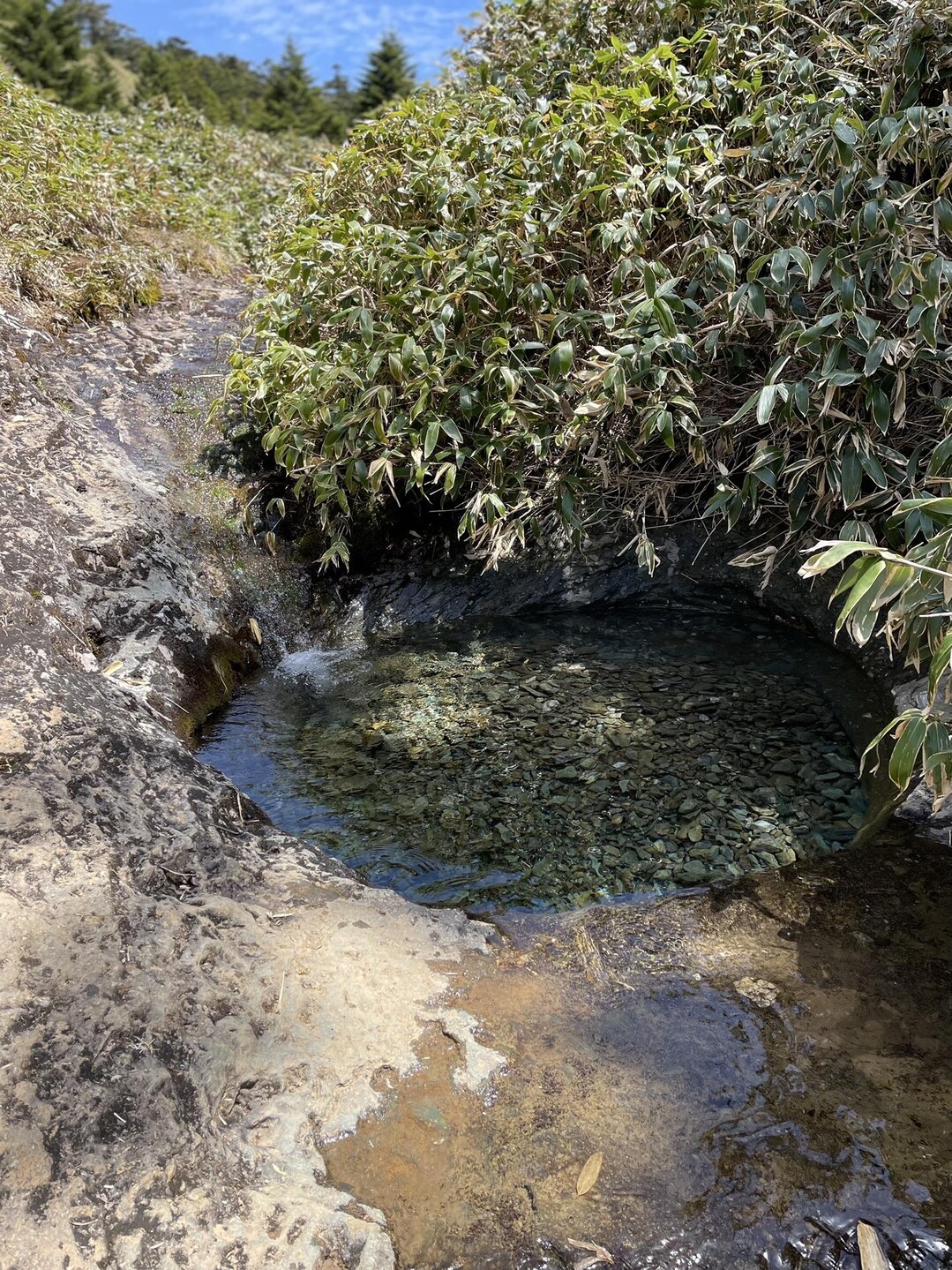 ああ！なんて遠いのだ瓶ヶ森。 UFOライ... / おーもさんのモーメント | YAMAP / ヤマップ
