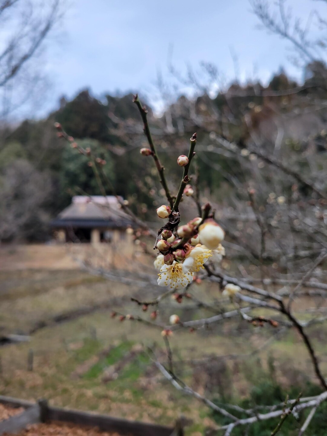 大先輩とウォーキング / baseさんのウォーキングの活動データ | YAMAP / ヤマップ