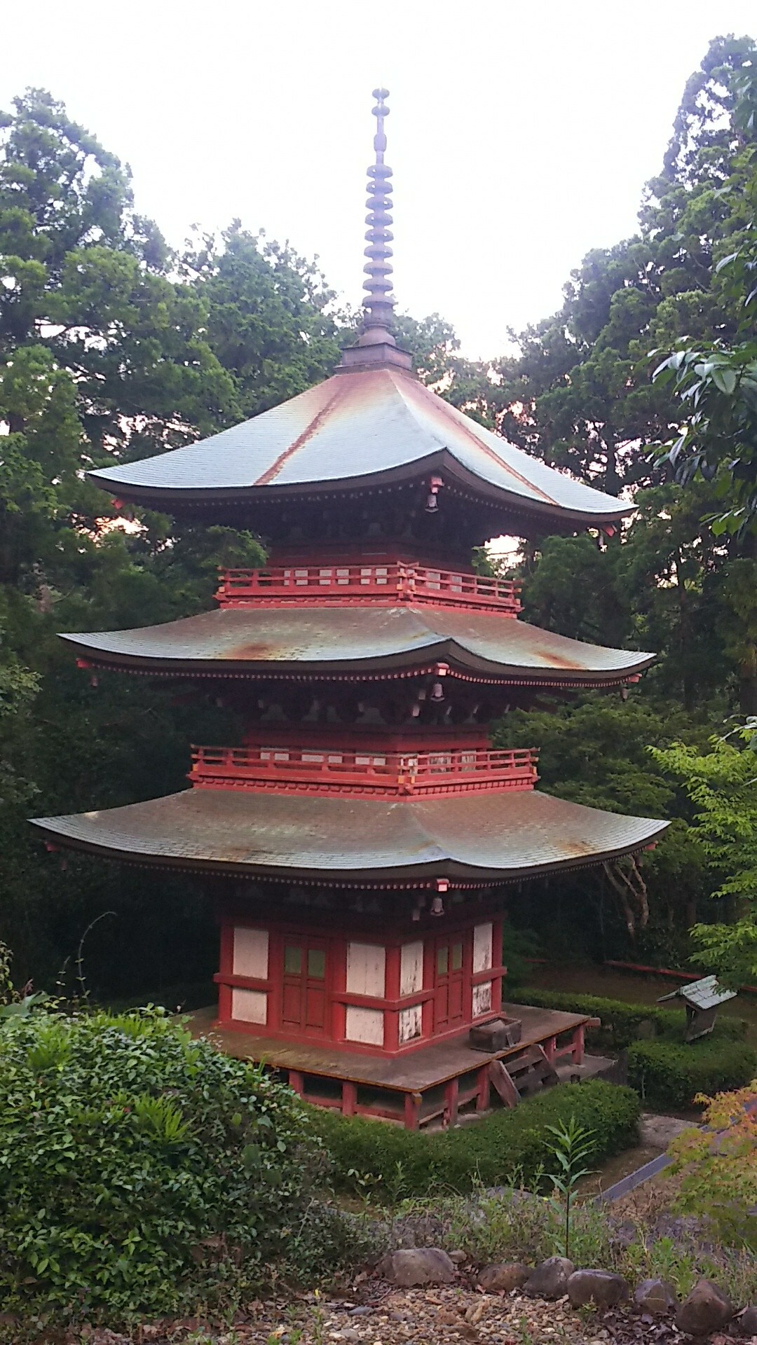 油山寺、中峰山ハイキング 今日は静岡の袋... / APYキューイさんのモーメント | YAMAP / ヤマップ