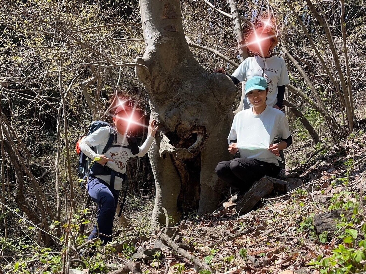 斑根石山・540P / midoriさんの古賀志山・赤岩山・鞍掛山・男抱山・半蔵山の活動データ | YAMAP / ヤマップ
