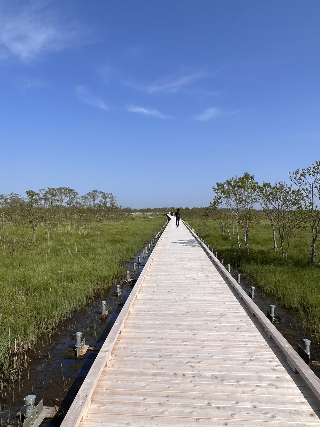 釧路湿原 温根内木道 / aurelieさんの釧路川その5（岩保木水門〜旭橋）の活動データ | YAMAP / ヤマップ