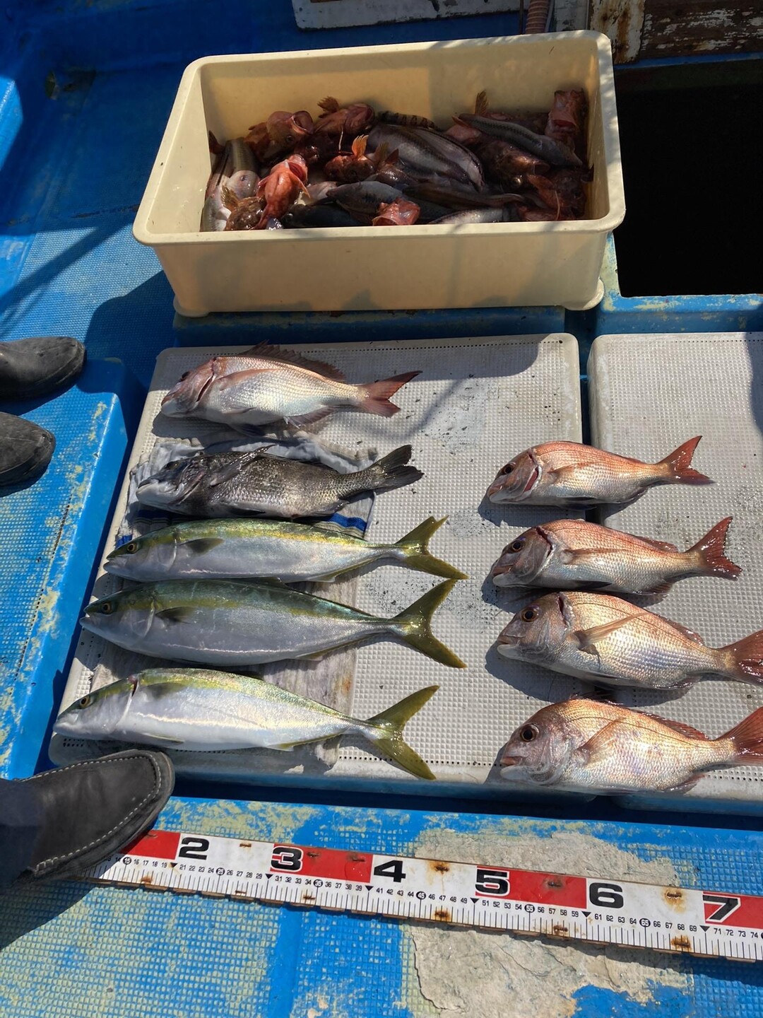 柳井市大畠に、タイ釣り🎣、久しぶりの船... / ダボさんのモーメント | YAMAP / ヤマップ