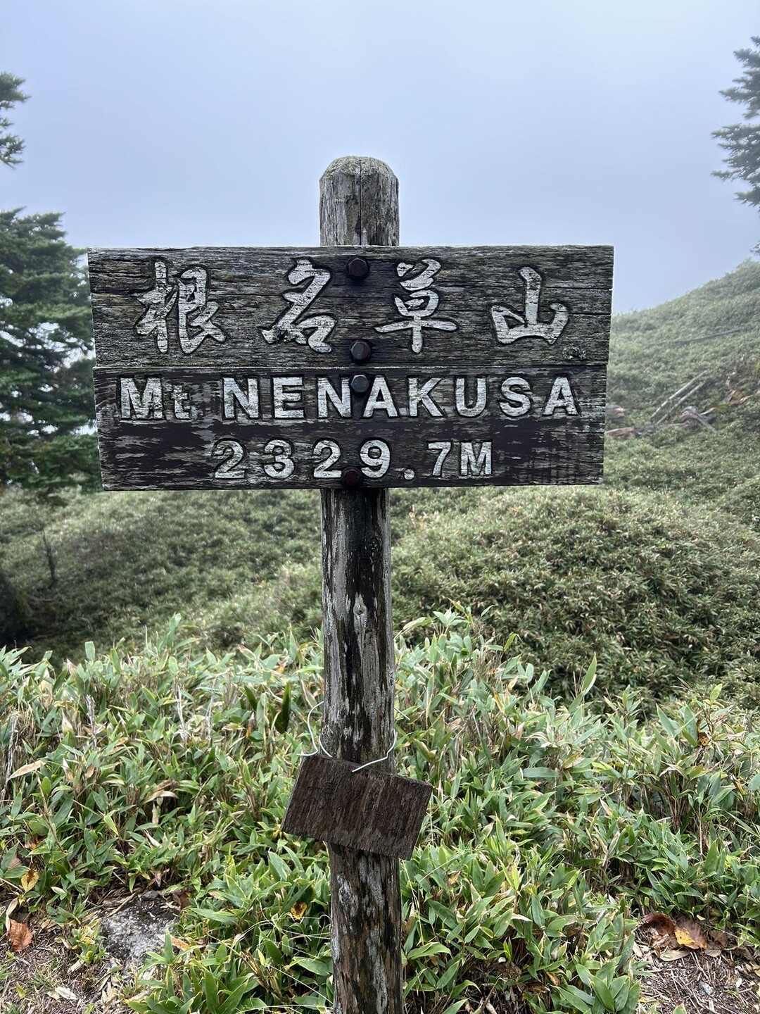 温泉ヶ岳・根名草山 / yuu39さんの温泉ヶ岳・根名草山の活動データ | YAMAP / ヤマップ