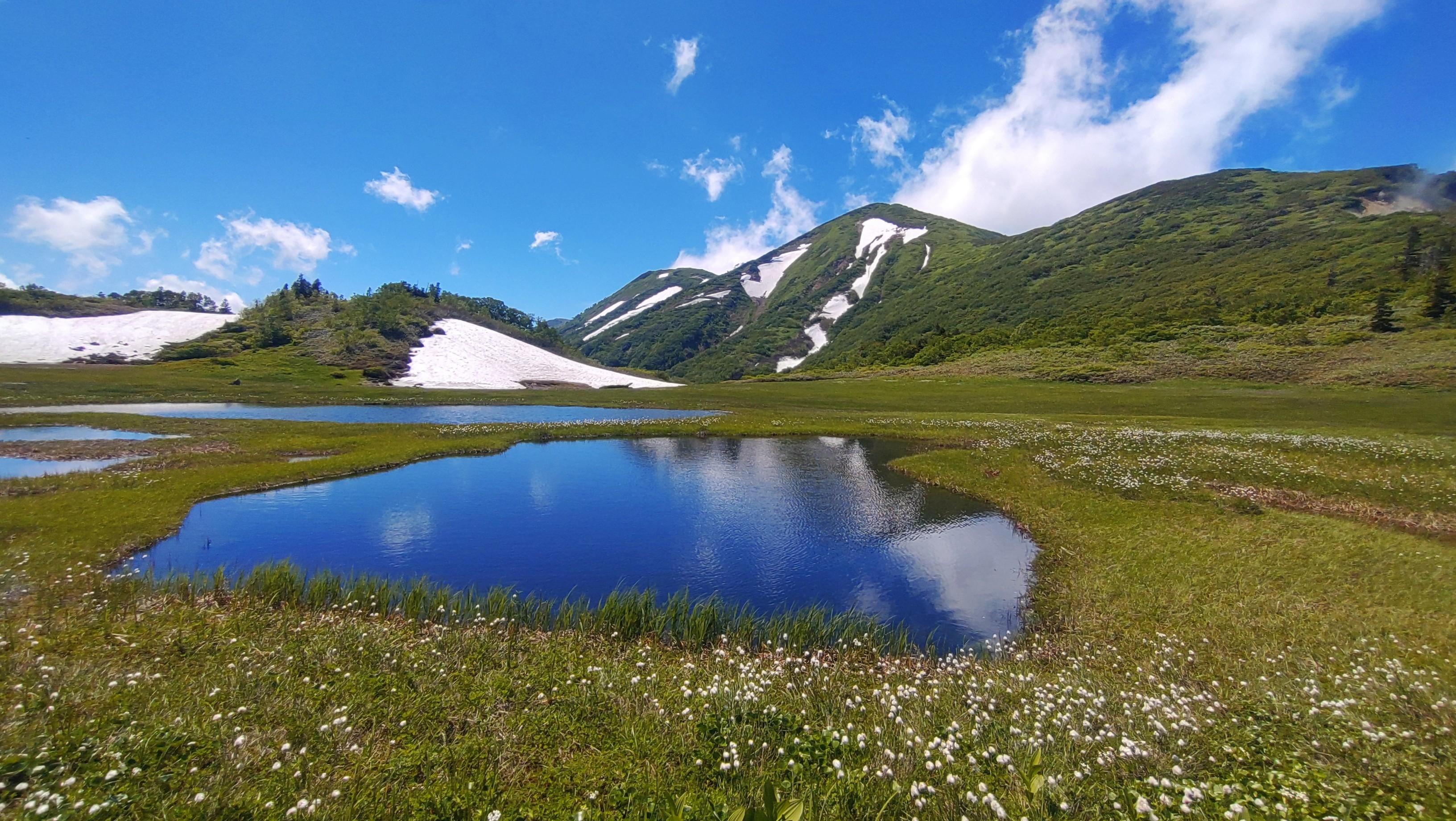 花の百名山、火打山日帰り登山 / HIROHIROさんの妙高山・火打山の活動データ | YAMAP / ヤマップ