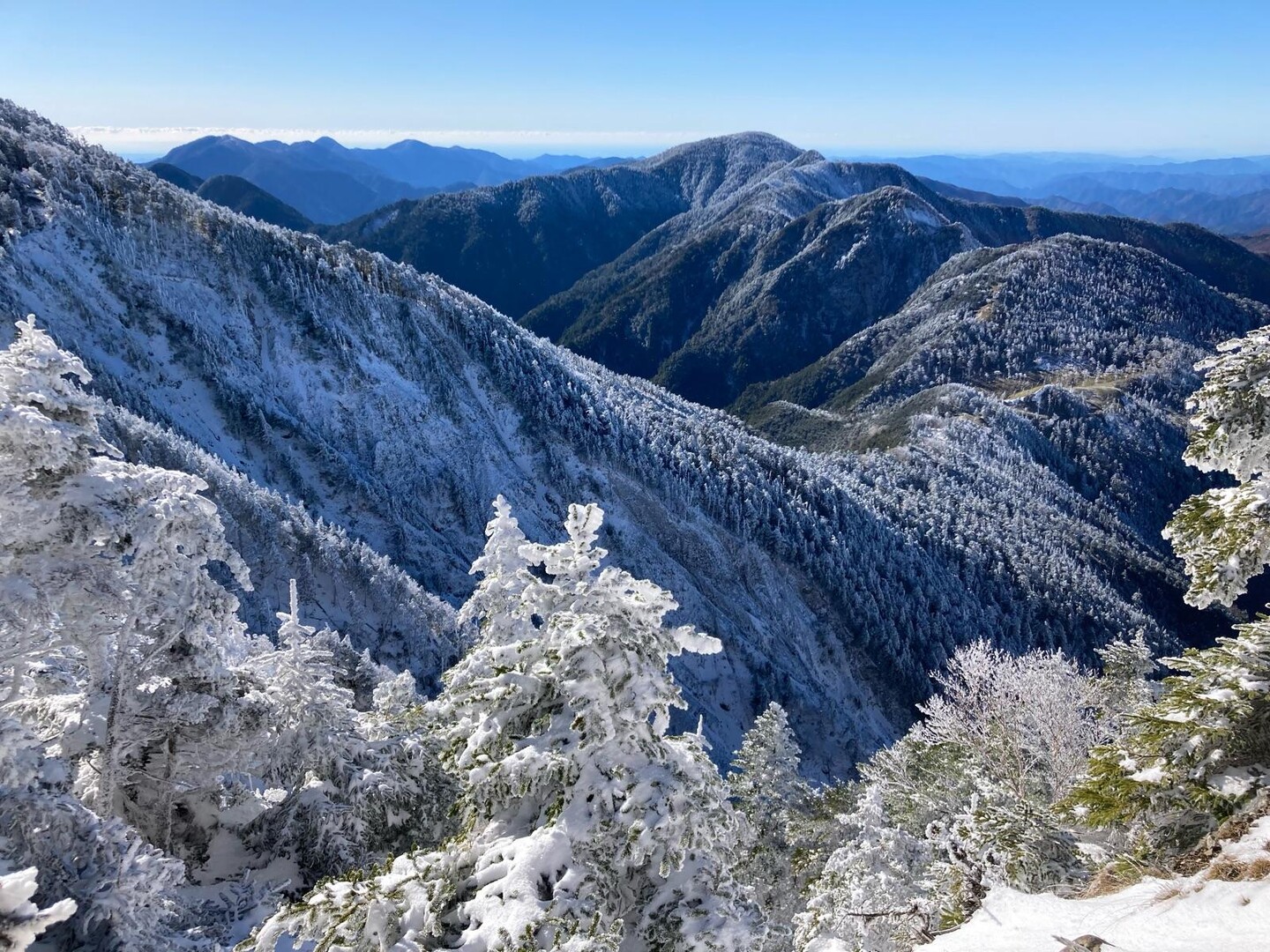 もう雪山 池口岳 / pagdoggyさんの池口岳・加加森山・光岳の活動日記 | YAMAP / ヤマップ