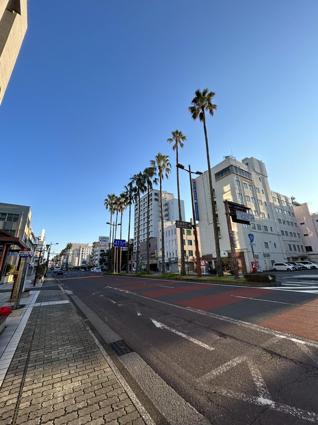 綾岳⛰トレイルランニング🏃‍♂️💨 / ryu_ich1さんの釈迦ヶ岳（釋迦ヶ岳）・矢筈岳の活動データ | YAMAP / ヤマップ