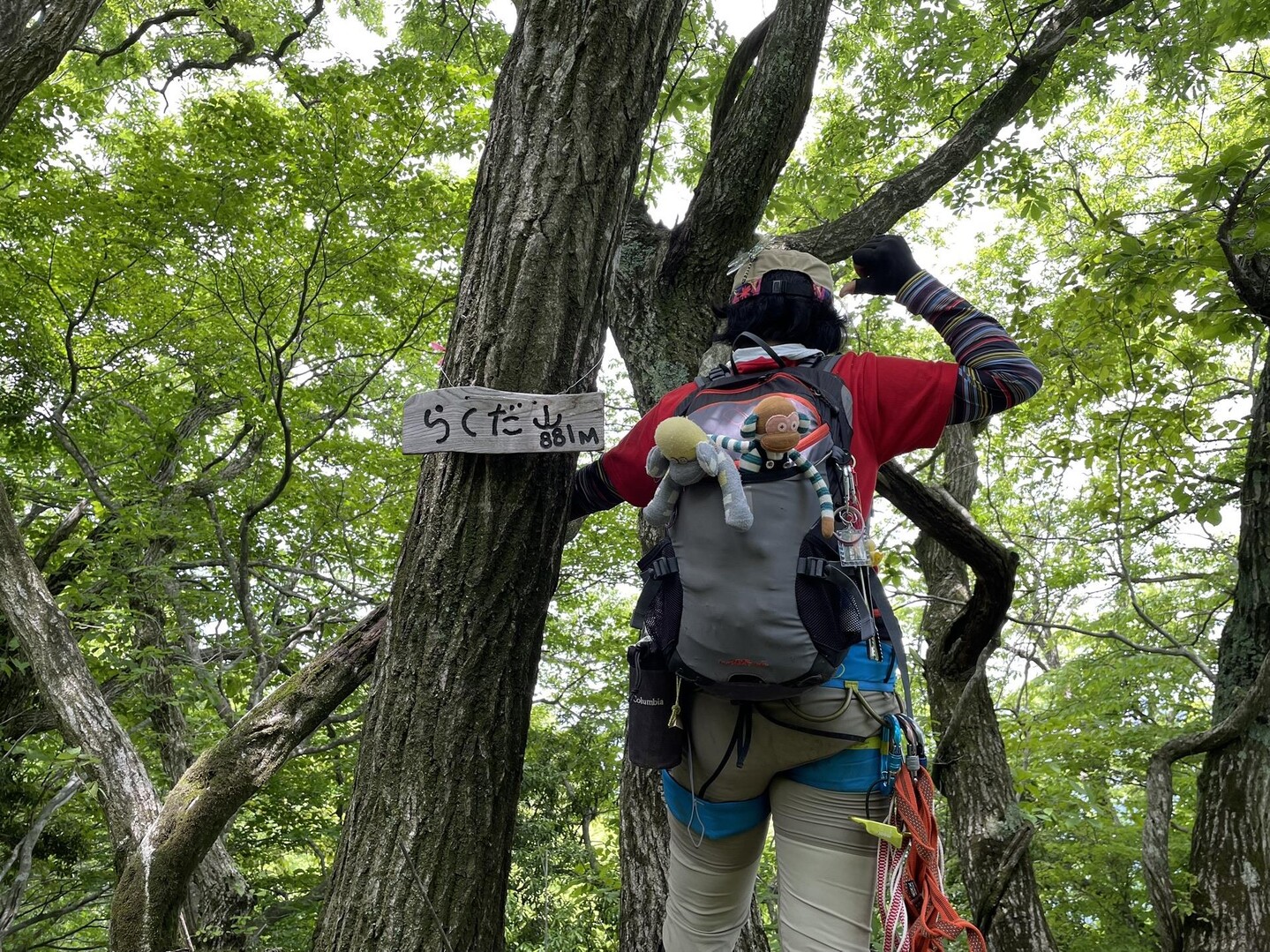阿蘇 らくだ山 / kazukoさんの俵山・冠ヶ岳・清栄山の活動データ | YAMAP / ヤマップ