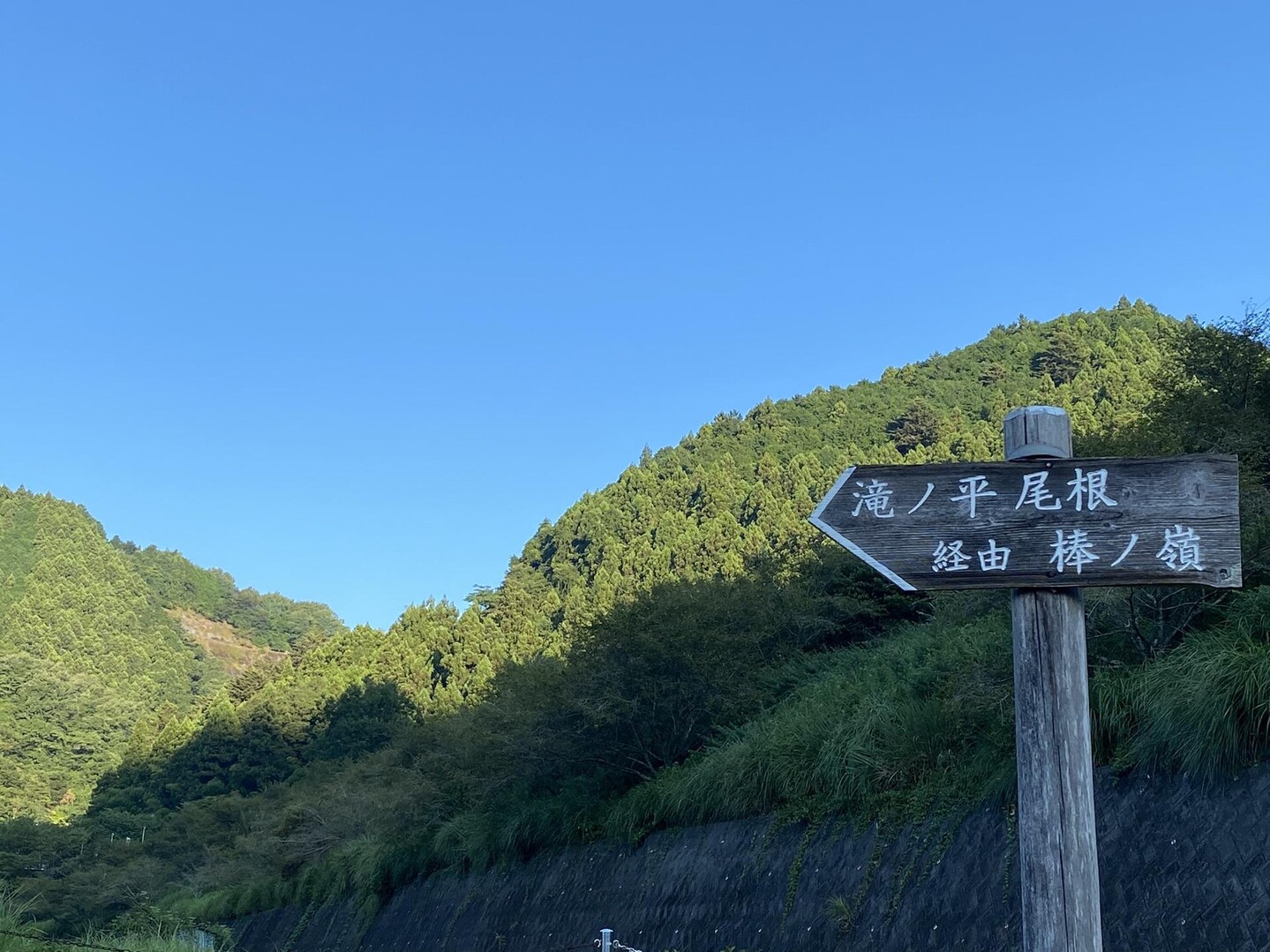 棒ノ嶺（棒ノ折山） / tutuさんの棒ノ折山（棒ノ嶺）の活動データ | YAMAP / ヤマップ