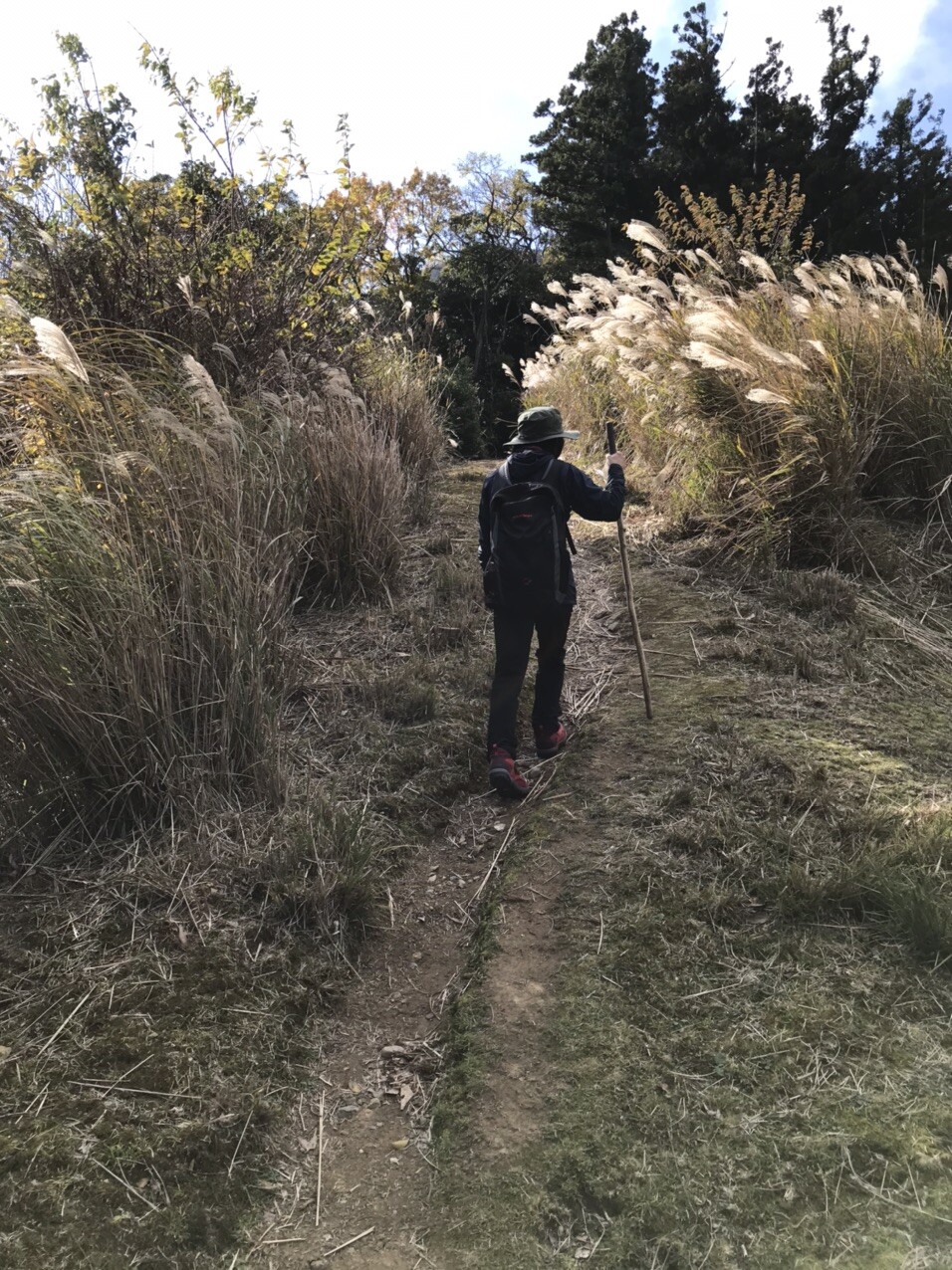 mikaのページ | YAMAP / ヤマップ