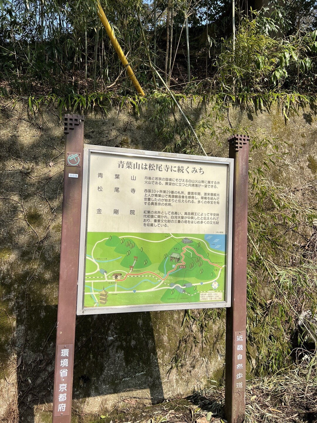 3/12(土) 体調が本調子ではないもの... / ayaさんのモーメント | YAMAP / ヤマップ