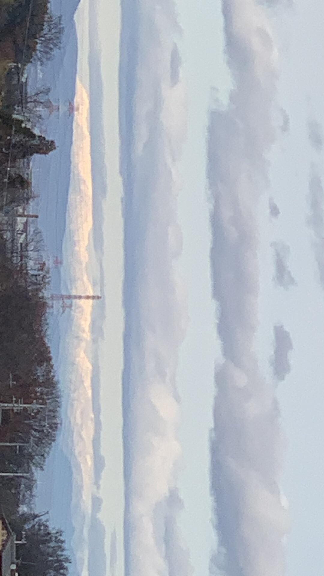 2023.12.18 1.午後の日に輝く... / 山楽人(ｻﾝｶﾞｸｼﾞﾝ)さんのモーメント | YAMAP / ヤマップ