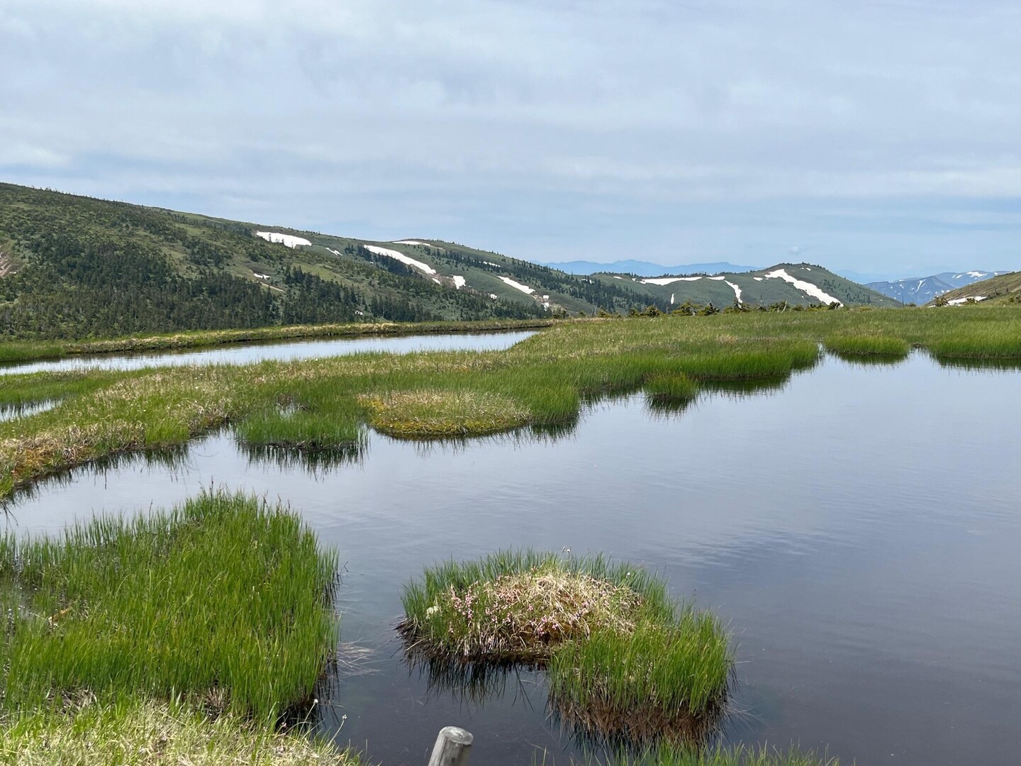 平ヶ岳【日本百名山51座目】 / yukky..さんの平ヶ岳・台倉山・池ノ岳の活動データ | YAMAP / ヤマップ