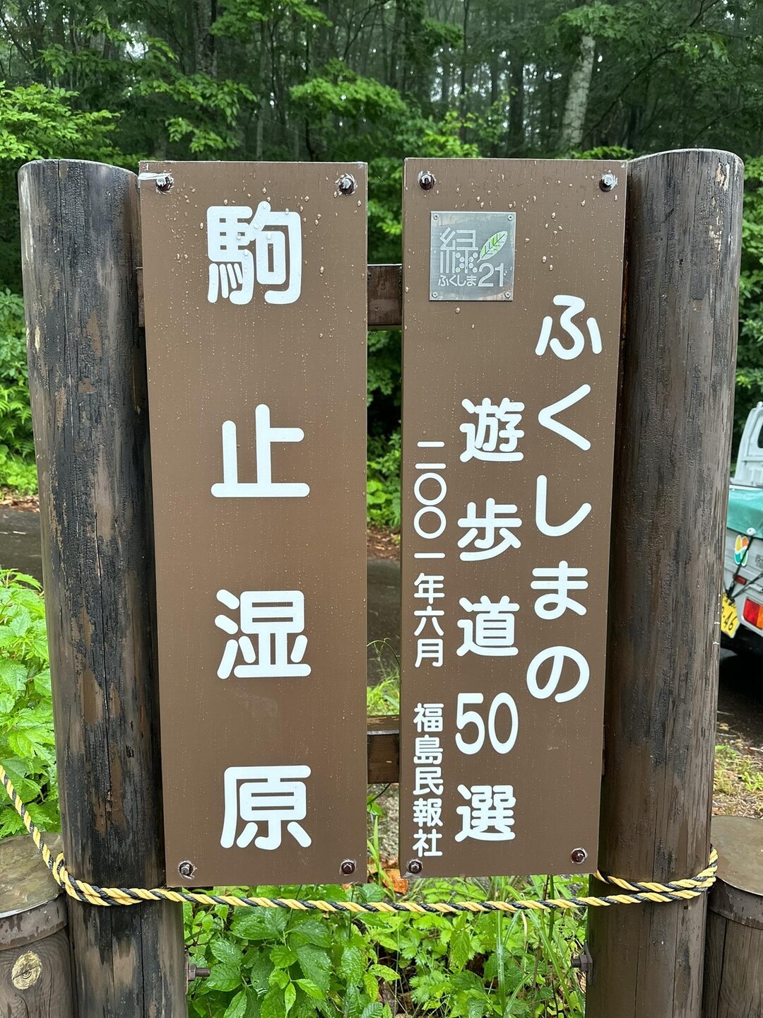 駒止湿原-2024-06-23 / sakiさんの唐倉山の活動データ | YAMAP / ヤマップ