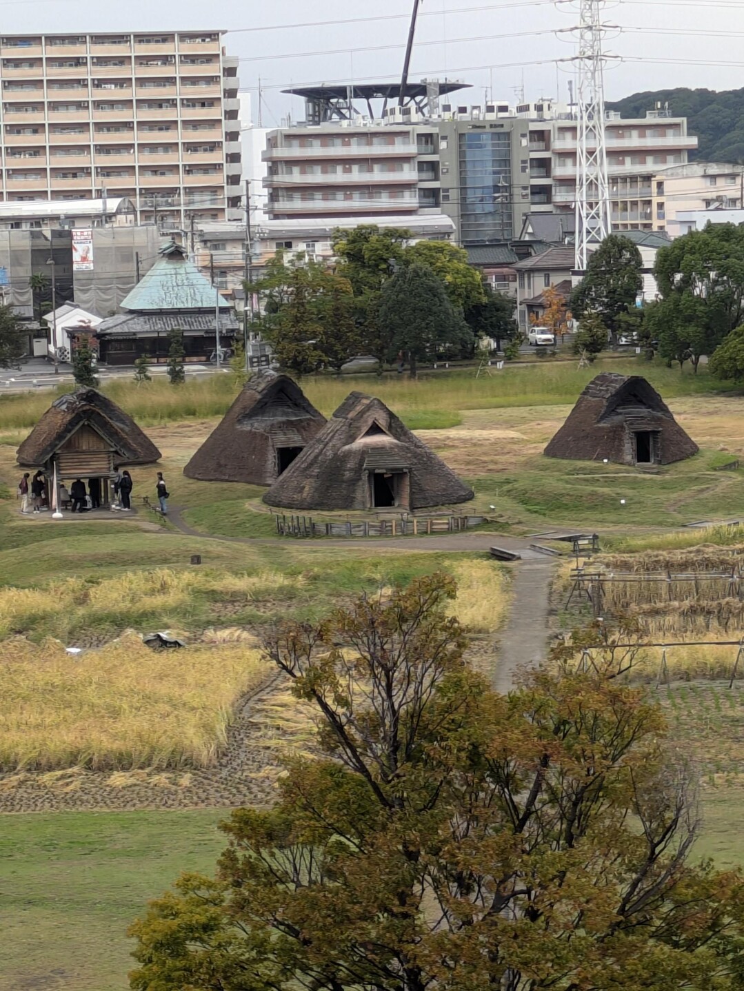 静岡散歩② / dodoさんの賤機山の活動データ | YAMAP / ヤマップ