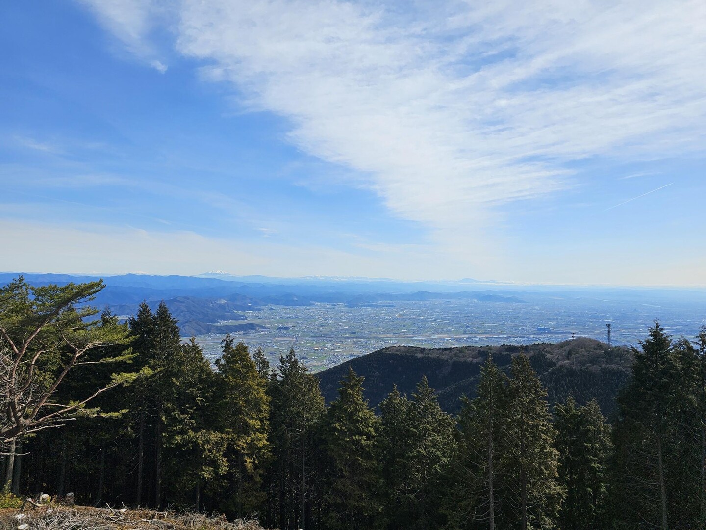 池田山 / MMさんの池田山の活動データ | YAMAP / ヤマップ