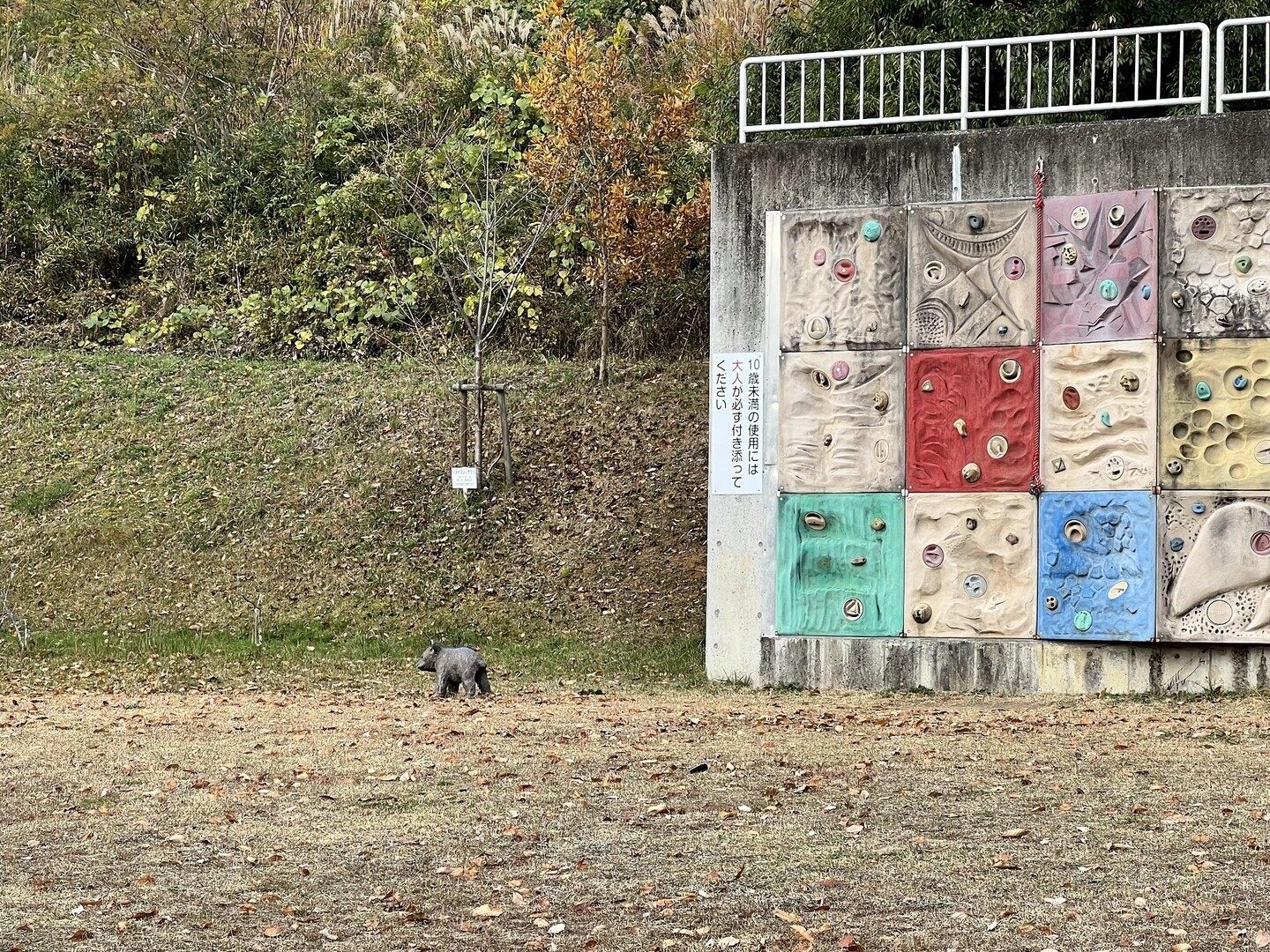 信夫山にて / moさんの観光の活動データ | YAMAP / ヤマップ