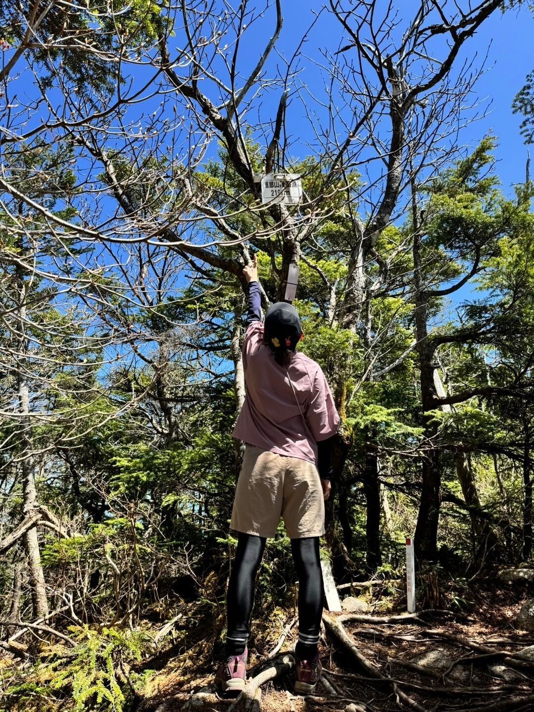 恵那山 / pankoさんの恵那山・大判山・神坂山の活動日記 | YAMAP / ヤマップ